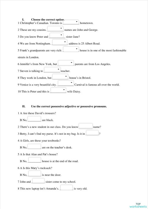 Possessives and family practice (modified). Interactive worksheet ...