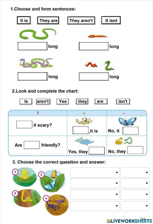 EN3_U1_Animals_adjectives. Interactive worksheet | TopWorksheets