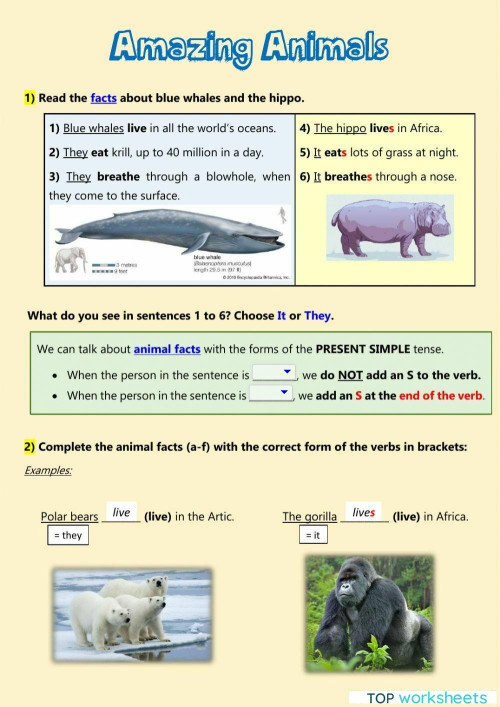 Amazing Animals. Interactive worksheet | TopWorksheets
