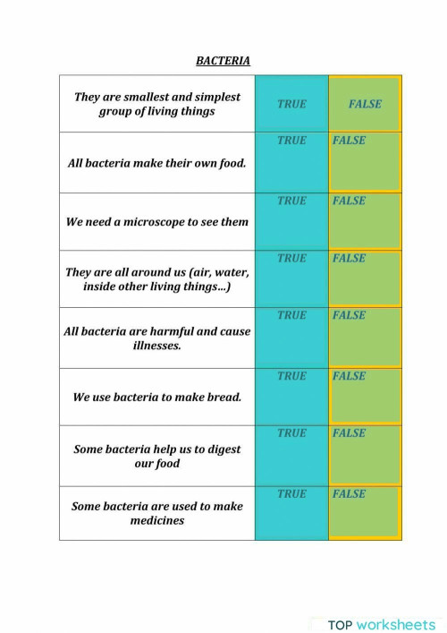 Bacteria. Interactive worksheet | TopWorksheets