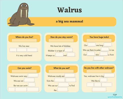 Meet the animals - Walrus. Interactive worksheet | TopWorksheets