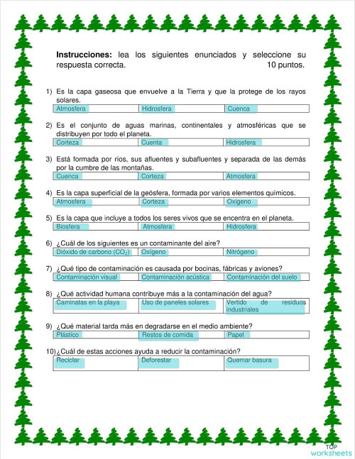 Partes De La Flor Ficha Interactiva Theme Route