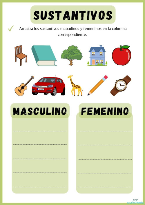 Sustantivos Femeninos y Masculinos Gramática Hoja de trabajo. Ficha ...