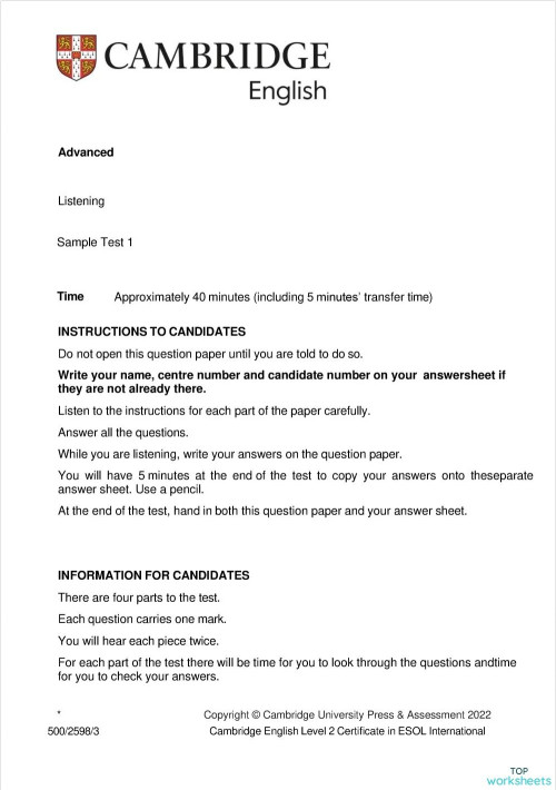 CAE - L - Sample Test. Interactive worksheet | TopWorksheets