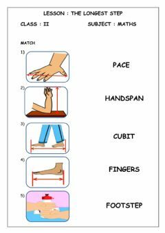THE LONGEST STEP-. Interactive worksheet | TopWorksheets