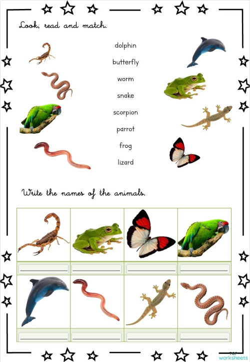 Animals vocab. 1. Ficha interactiva | TopWorksheets