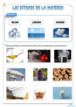 Los estados de la materia . Ficha interactiva | TopWorksheets