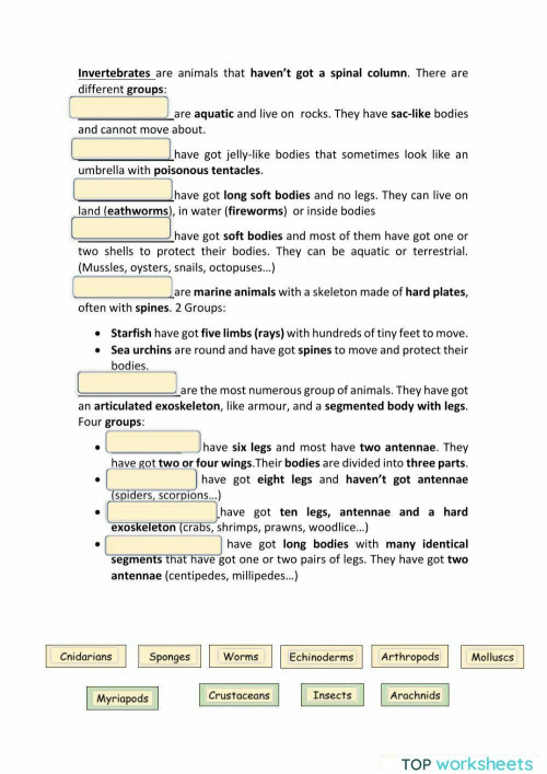 All about Invertebrates. Interactive worksheet | TopWorksheets