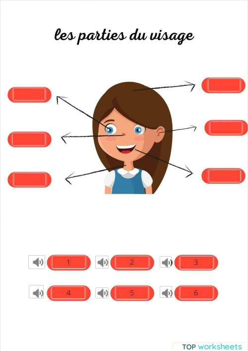 Les parties du visage. Fiche interactive | TopWorksheets
