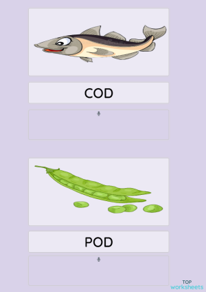 Phonics 2 (Lesson 16). Interactive worksheet | TopWorksheets