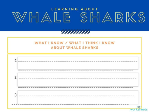 Mysterious Whale Sharks. Interactive worksheet | TopWorksheets