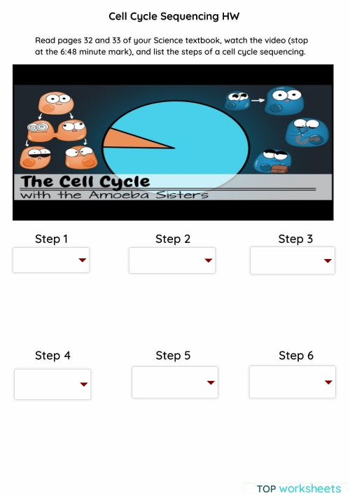 Cell Cycle Sequencing. Interactive worksheet | TopWorksheets