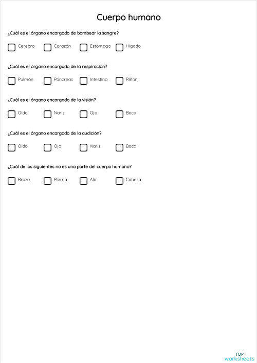 Cuerpo humano. Ficha interactiva | TopWorksheets