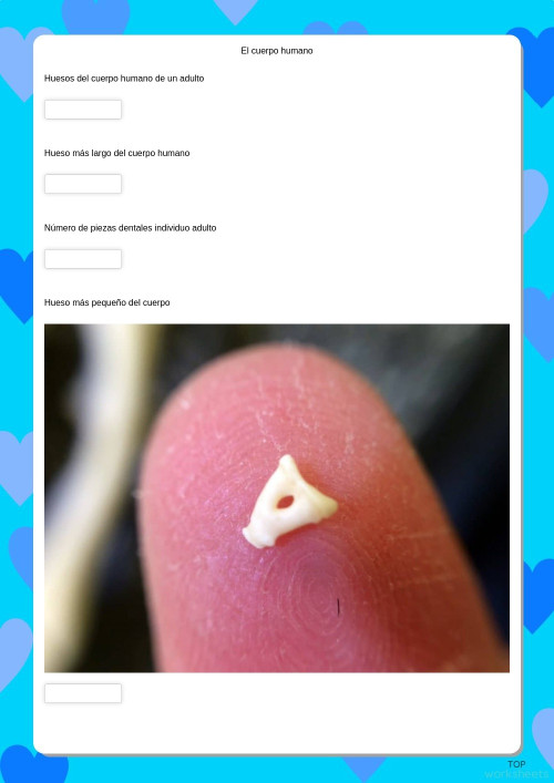 El Cuerpo Humano Ficha Interactiva Topworksheets
