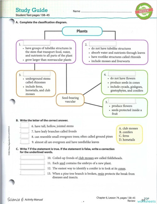 Lesson 74: Study Guide Page 93. Interactive worksheet | TopWorksheets