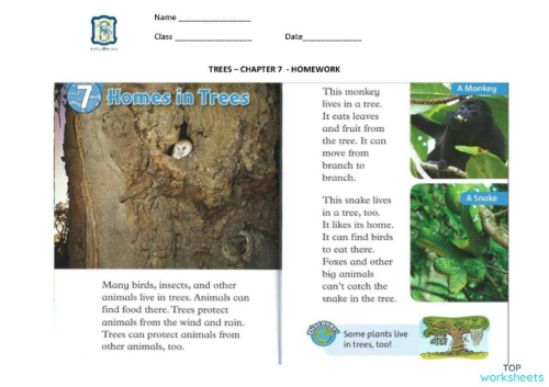READING HOMEWORK_TREE_CHAPTER 7_ DEC 10. Interactive worksheet ...