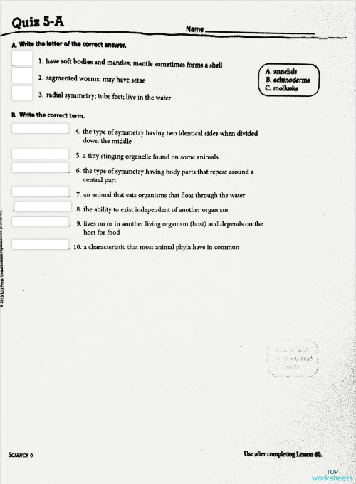 Animal Classification: interactive worksheets and online exercises ...