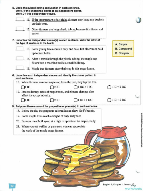 Chapter 1 Review Pg 20. Interactive worksheet | TopWorksheets