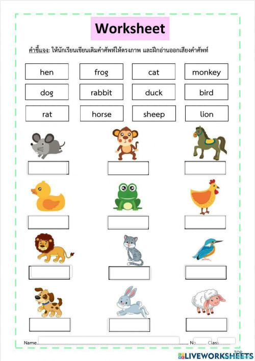 Printable Worksheets And The Answer Worksheet