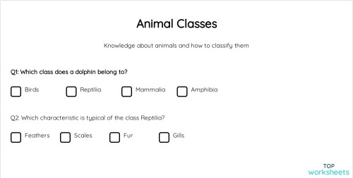 Animal Classes. Interactive worksheet | TopWorksheets
