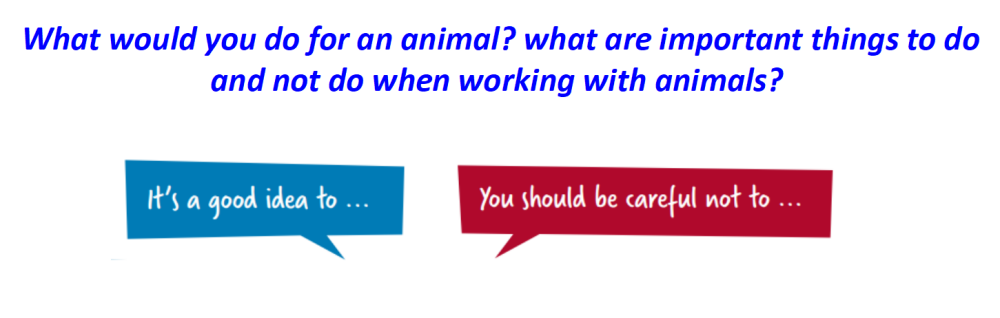 Elpehant sanctuary. Interactive worksheet | TopWorksheets