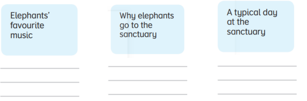 Elpehant sanctuary. Interactive worksheet | TopWorksheets