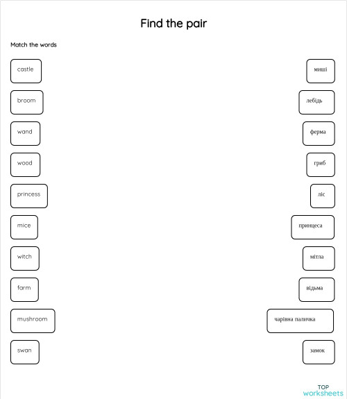 Find the pair. Interactive worksheet | TopWorksheets