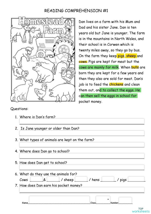 Reading comprehension: interactive worksheets and online exercises ...
