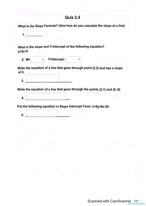 Linear Equations Quiz 2.4. Interactive worksheet | TopWorksheets