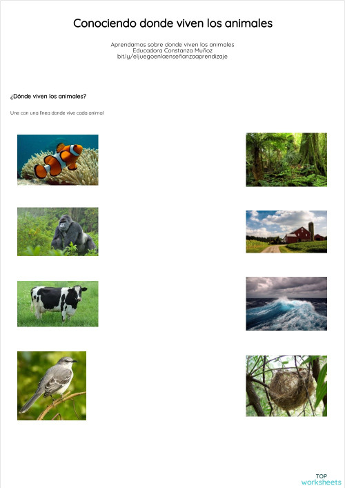 Ciencias de la Naturaleza: fichas interactivas y ejercicios online ...