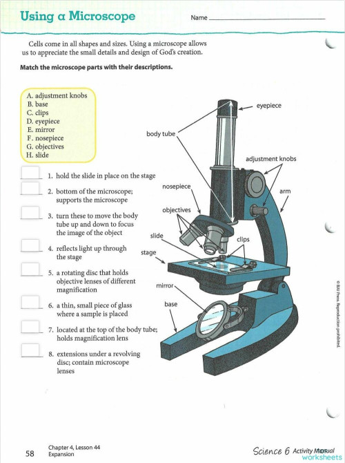 Lesson 44: Using a Microscope Pg 58. Interactive worksheet | TopWorksheets