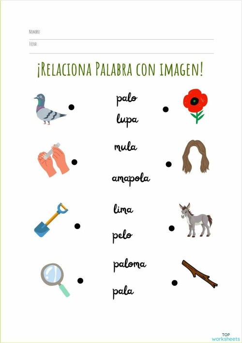Ficha relaciona palabra e imagen. Ficha interactiva | TopWorksheets