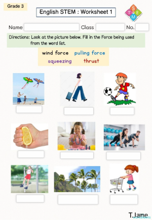 Worksheet 1 "Force" STEM 3 ใบงานเชิงโต้ตอบ | TopWorksheets