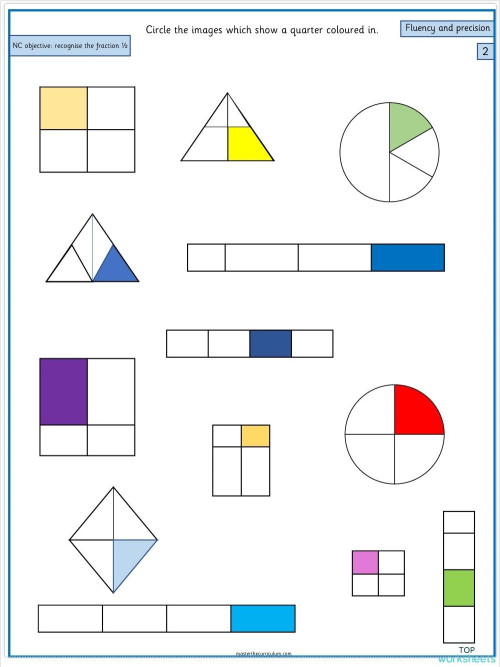 Recognise the fraction 1/2. Interactive worksheet | TopWorksheets