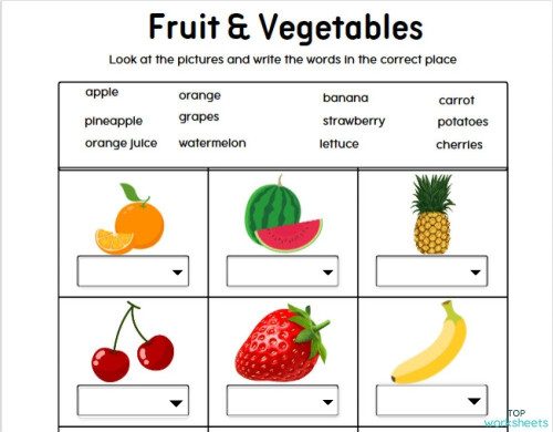 SELECT THE CORRECT WORD. Interactive worksheet | TopWorksheets