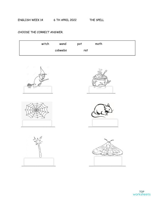 The Spell Week 14. Interactive worksheet | TopWorksheets