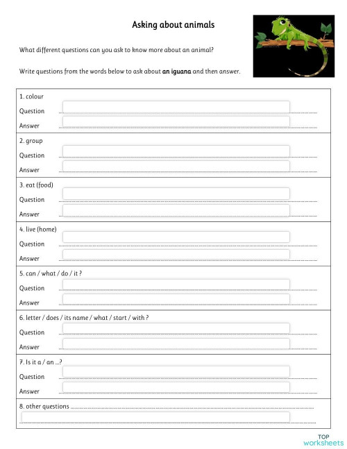 Asking About Animals Worksheet. Interactive worksheet | TopWorksheets