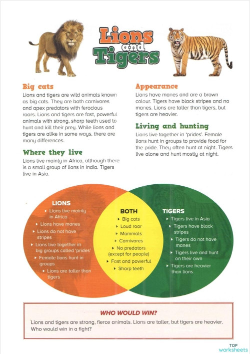 Lesson 62 Lions and Tigers. Interactive worksheet | TopWorksheets