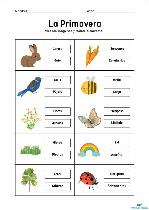 Ficha La Primavera. Ficha interactiva | TopWorksheets