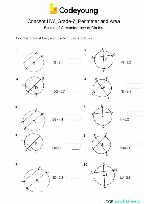 Introduction to Area of Circles Concept HW. Interactive worksheet ...