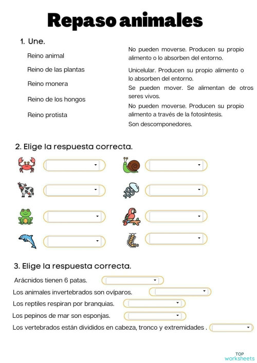 Repaso animales. Ficha interactiva | TopWorksheets