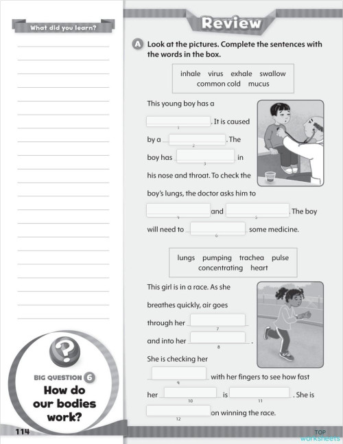 OD4 WB 115. Interactive worksheet | TopWorksheets