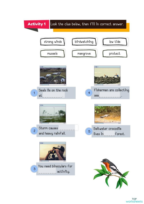 Mangrove Forest_1. Interactive worksheet | TopWorksheets