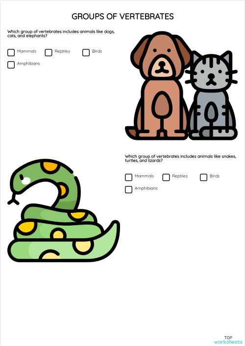 GROUPS OF VERTEBRATES. Interactive worksheet | TopWorksheets