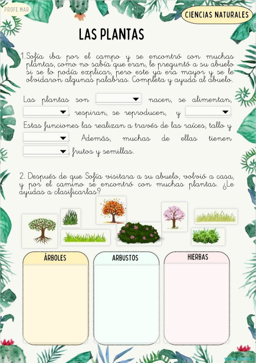 Las plantas 1 - 2º EP - Naturales. Ficha interactiva | TopWorksheets