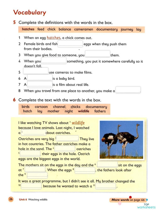 VOCAB POST-TEST. Interactive worksheet | TopWorksheets