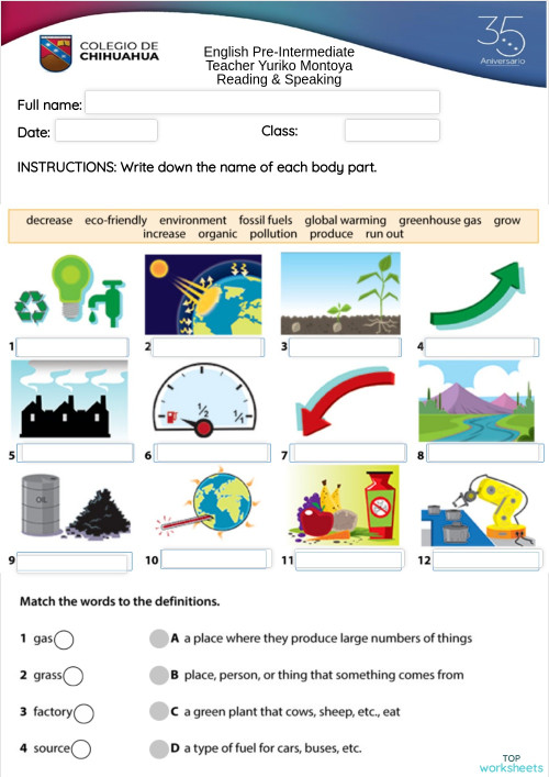 Talking about the environment. Interactive worksheet | TopWorksheets