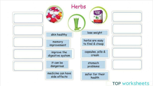 Herbs. Interactive worksheet | TopWorksheets