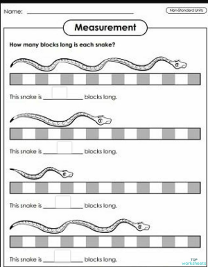 LONG SHORT 2. Interactive worksheet | TopWorksheets