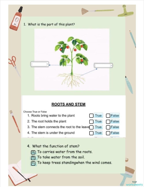 Lab 5: Plant Parts. Interactive worksheet | TopWorksheets
